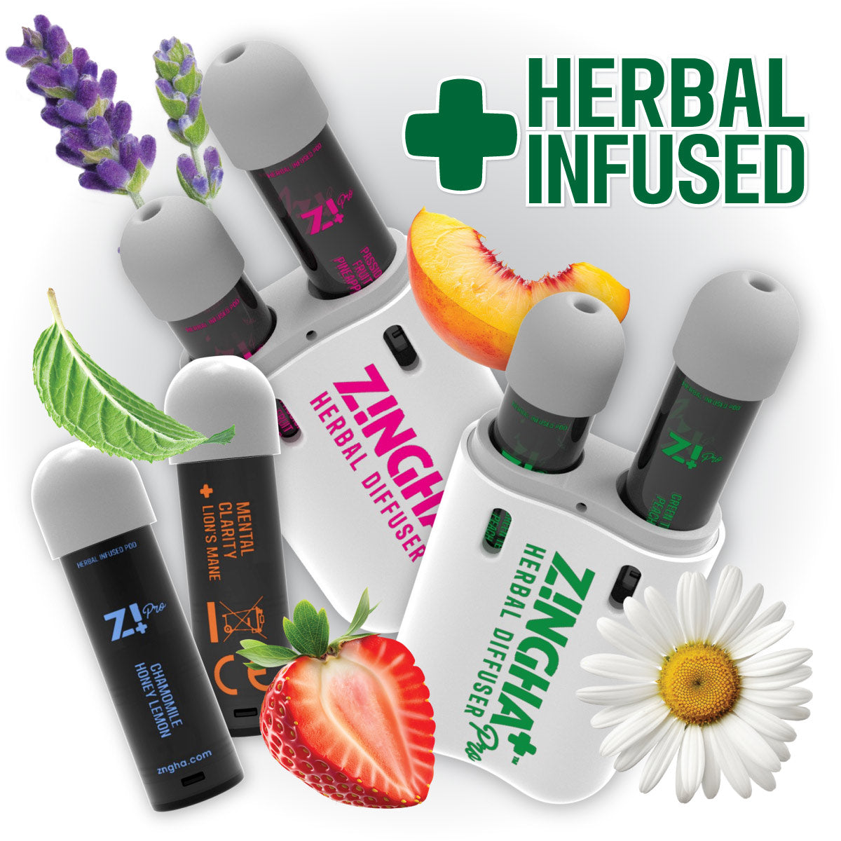 Diffuser Starter Kit – Z!NGHA